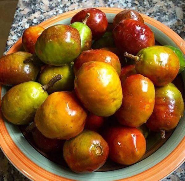 7 platos típicos que debe comer cuando estes en Ocaña - MiOcana.com
